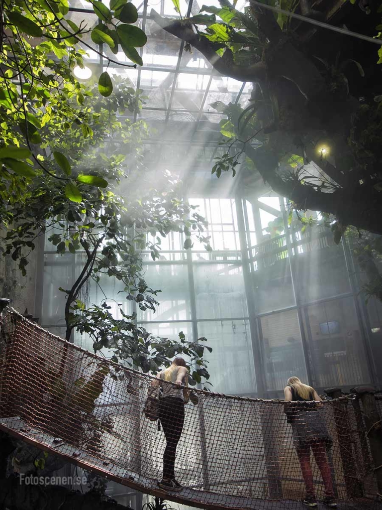 Universeum – Fotoscenen